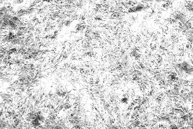 Dry Grass On Black Background Stock Vector - Illustration of ...