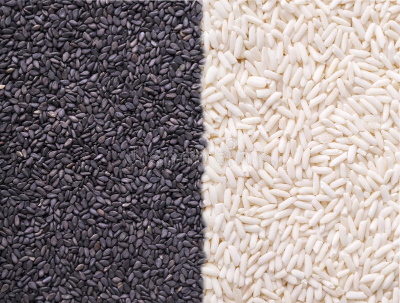 Background of Black and White Wild Rice. Stock Image - Image of closeup ...