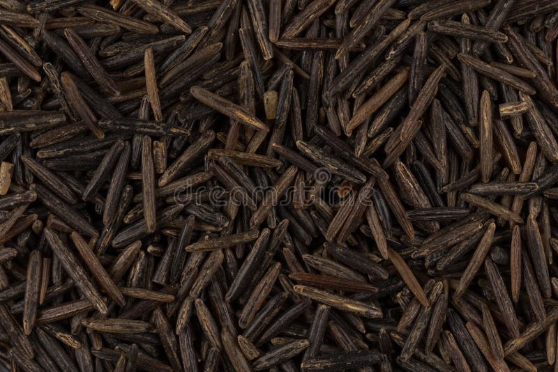 Background of Black Wild Rice Stock Image - Image of brown, texture ...