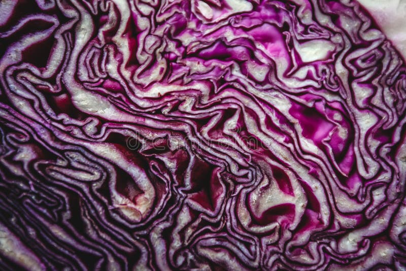Background of the Blue Cabbage in the Cut, Macrophotography. Large Plan ...