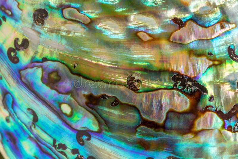 Background of Blue, Green and Purple Abalone Pearl Shel Stock Image ...