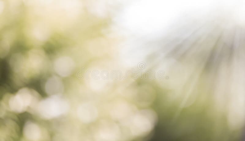 Background with Blurred Bokeh and Sunray Stock Image - Image of lights ...