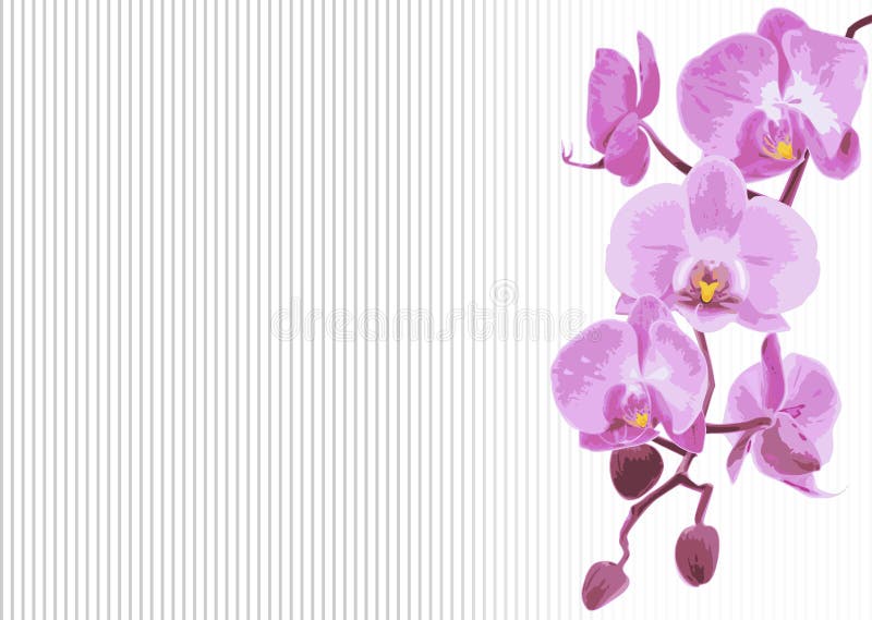 Background with Branch Orchid Stock Vector - Illustration of herb ...