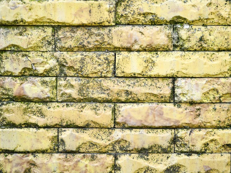 Fine Texture of the Wall Light Yellow Bricks. Background. Stock Image ...