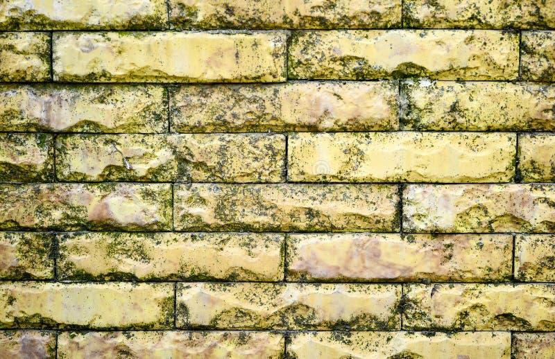 Fine Texture of the Wall Light Yellow Bricks. Background Stock Photo ...