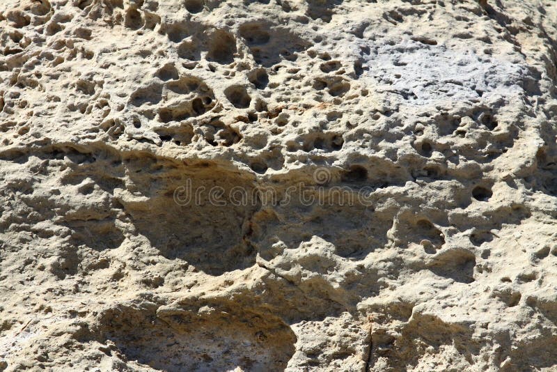 Bright Red Rocks Forming Barrier Along Charlottetown Harbour Stock ...
