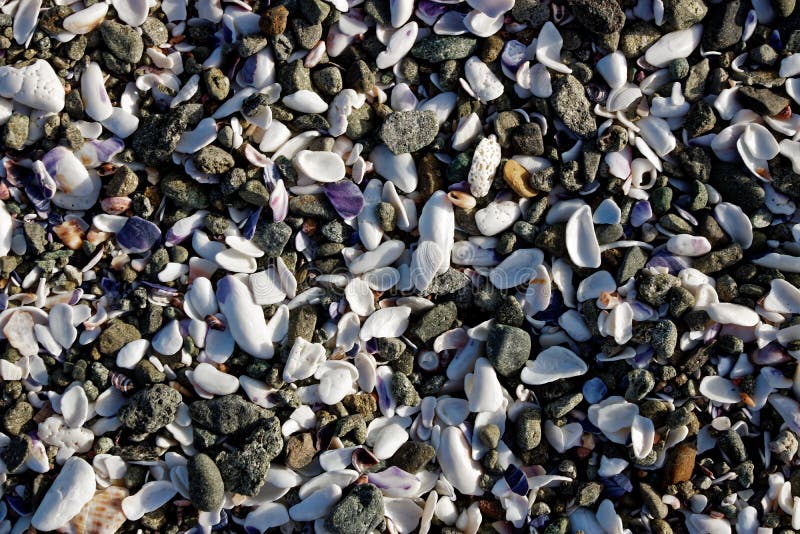 Background of Broken Shell and Pebbles on a Beach Stock Photo - Image ...