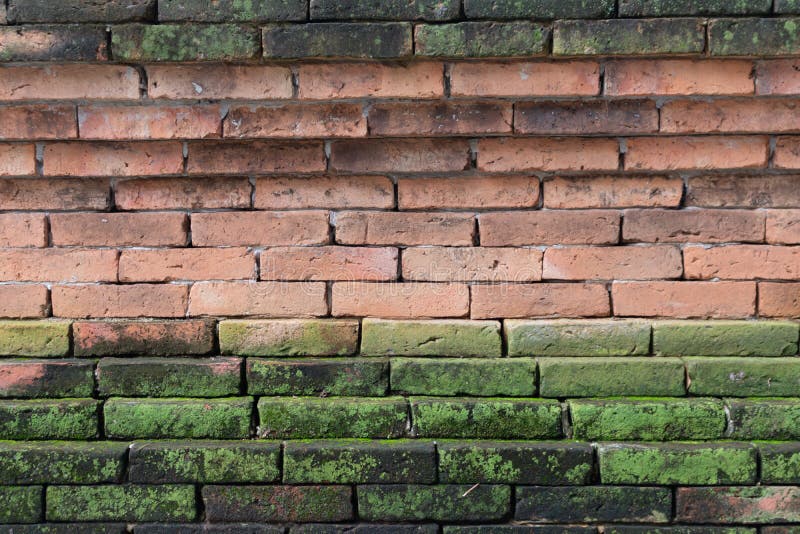Background of Brown Brick Wall with Green Algae Stock Photo - Image of ...
