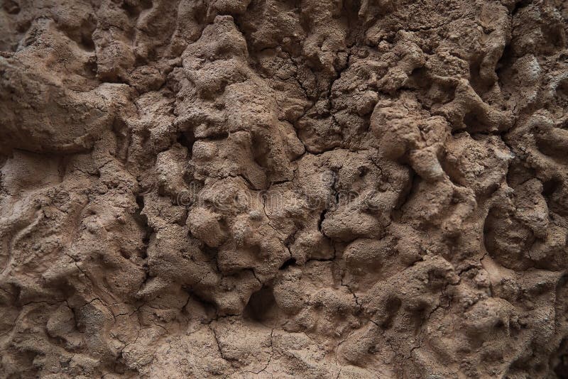 Elena Vechkanova (Sobolchic) - Photographer profile