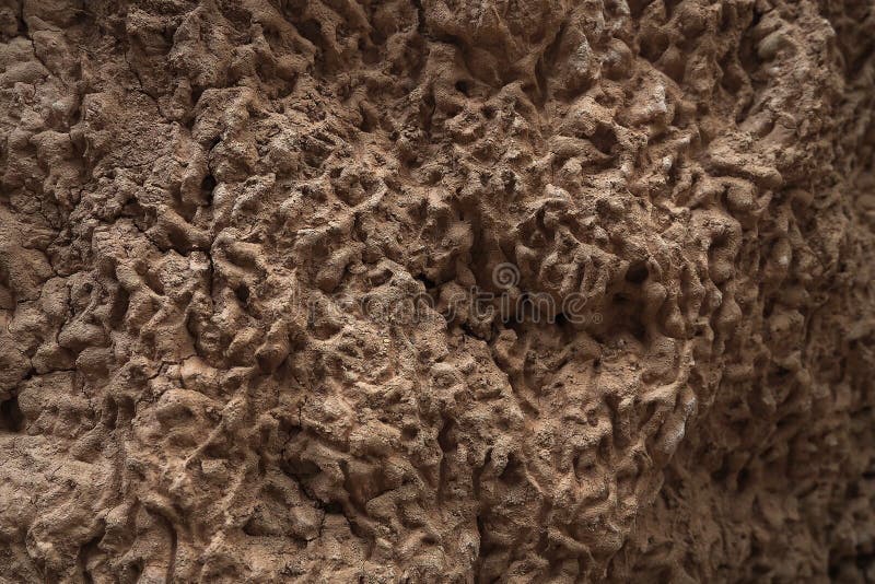 Elena Vechkanova (Sobolchic) - Photographer profile