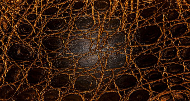 Background of Brown Crocodile Leather. Texture of Alligator Skin Stock ...