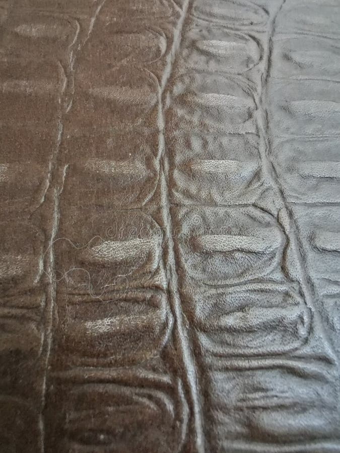 Brown Crocodile Skin Background Shot Close Up Stock Photo - Image of ...