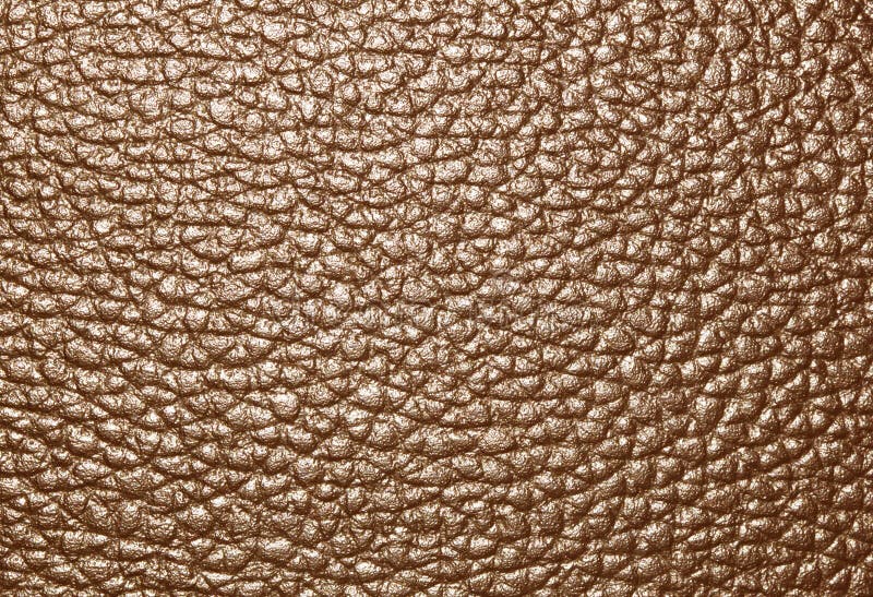 Background of Brown Rubber. Stock Photo - Image of clothing, luxury ...