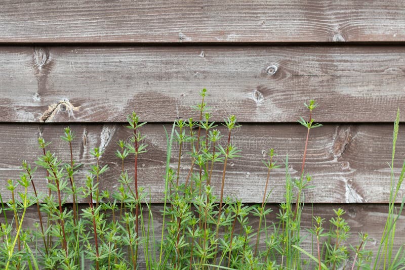 Background Brown Rustic Horizontal Board Fence with Green Grass at the ...