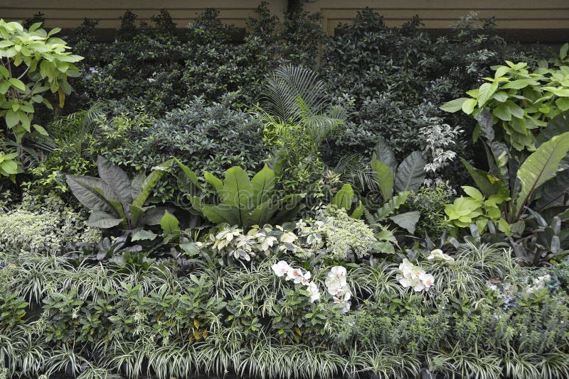 Bunch of Flower and Tree stock image. Image of bunch - 101323841