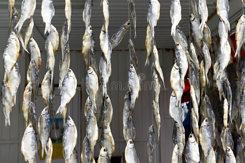 Background of the Bundles of Dried Fish Stock Photo - Image of industry ...