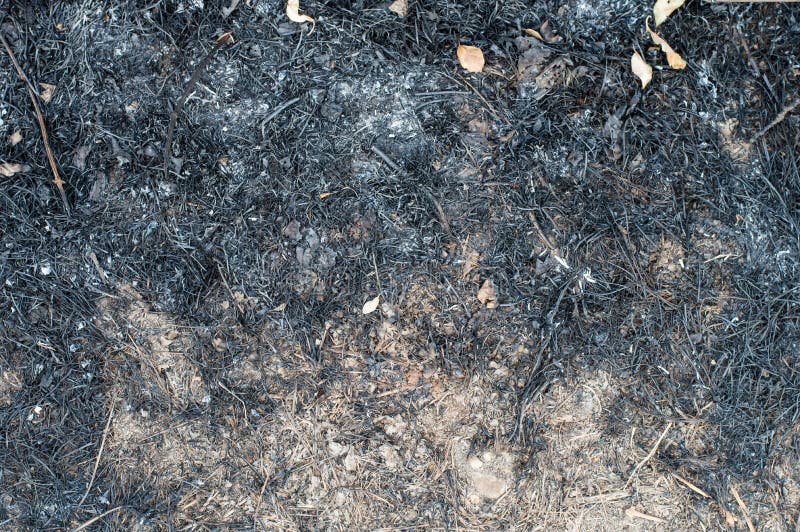 Burnt grass, burnt ground stock image. Image of wallpaper - 100775453