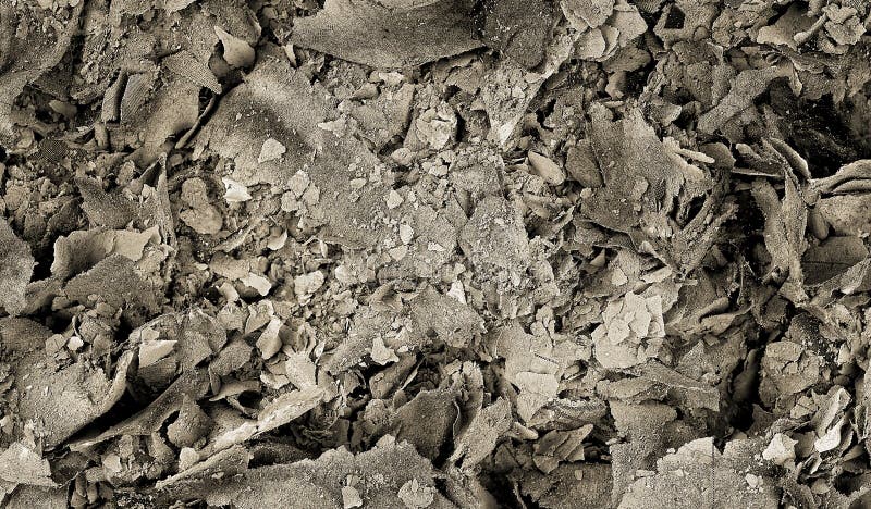 Background from Burnt Paper. the Ashes of the Paper. Pieces of Burnt ...