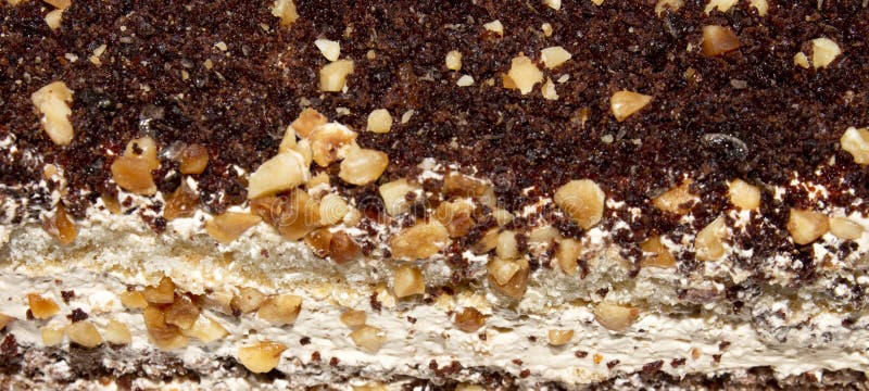 305 Rotten Cake Stock Photos - Free & Royalty-Free Stock Photos from ...