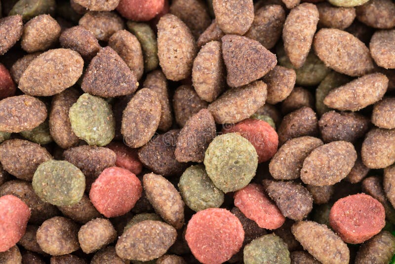 Dry Cat Dog Food in Granules Stock Photo - Image of feed, granules ...