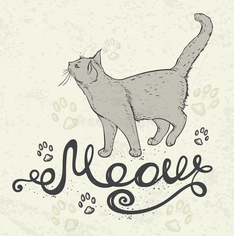 Meow Hand Drawn Kitten Lettering. Quote Isolated on White Background ...