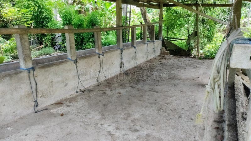 Background of Cattle Pen. Cow Pen in the Countryside Stock Image ...