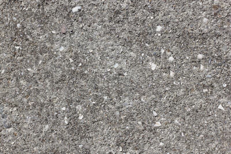 Background Cement Coarse Grey, with Patches of Gravel and Sea Shells ...