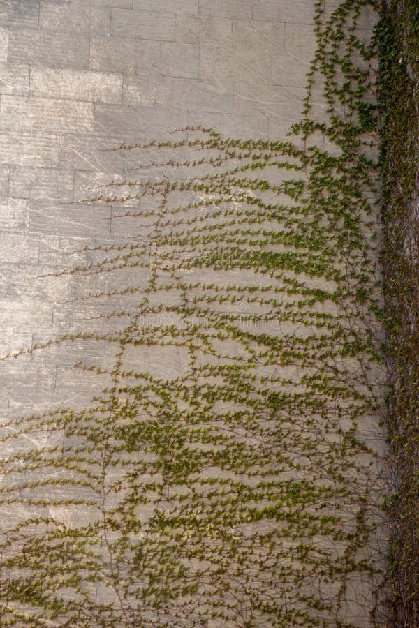 Background with Certain Texture Pattern Stock Photo - Image of ...