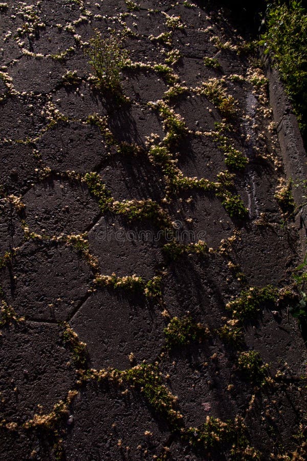 Background with Certain Texture Pattern Stock Photo - Image of abstract ...