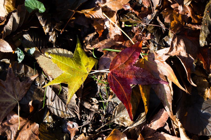 Background with Certain Texture Pattern Stock Image - Image of ...