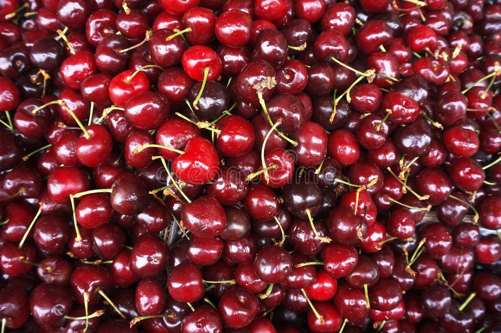 Background of Cherry Texture Stock Image - Image of juicy, tasty: 55463623