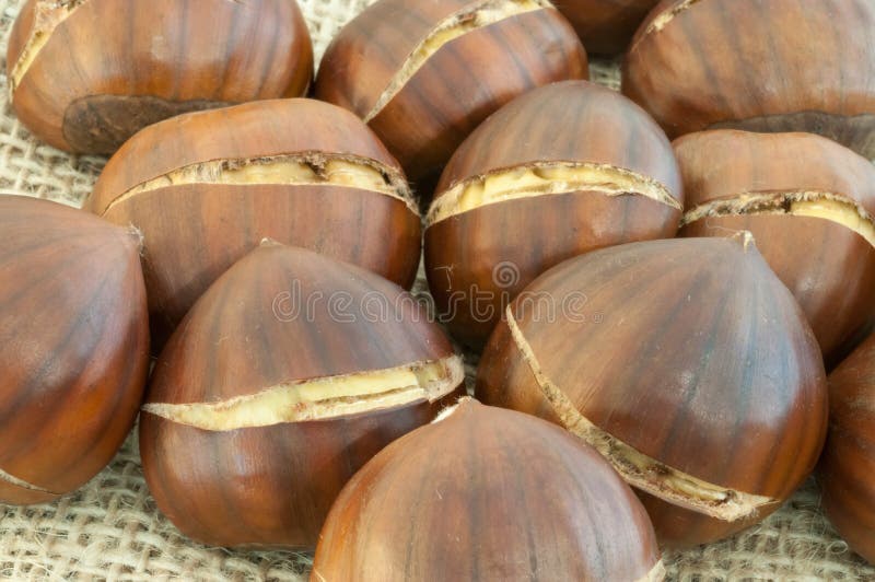 Background of chestnut stock photo. Image of protein - 47148012