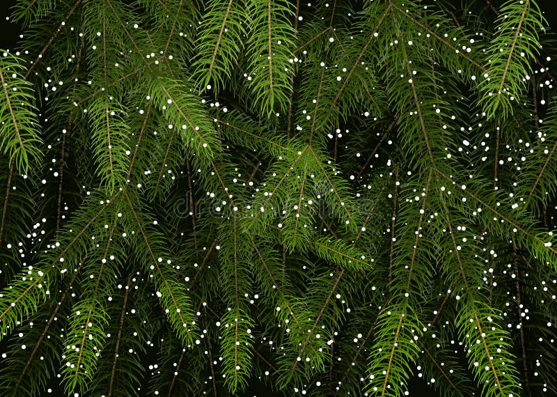 Background of Christmas Tree Branches Stock Vector - Illustration of ...