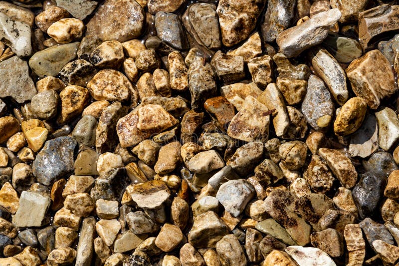 Background. Fine pebbles. stock photo. Image of closeup - 282707282