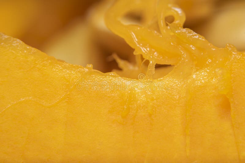 Closeup Pulp of the Inner Part of Pumpkin Stock Image - Image of ripe ...