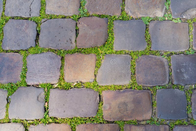 Cobblestone Grass Brick Road Stock Image - Image of backgrounds ...