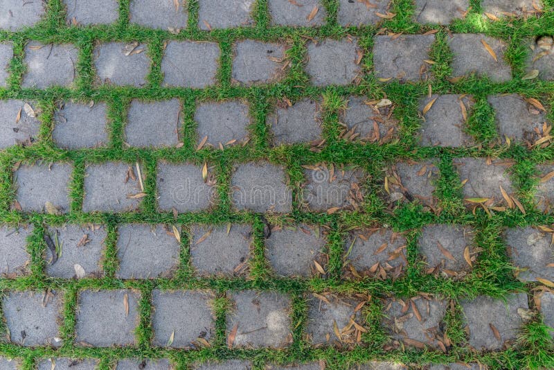 Cobblestone Grass Brick Road Stock Image - Image of backgrounds ...