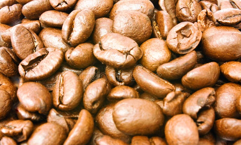Background from Coffee Grains Stock Image - Image of group, copy: 16528613