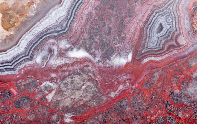 White and red agate slice stock photo. Image of grey - 110544178