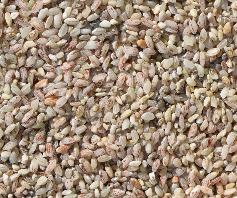 Background of colored stock photo. Image of organic - 156359550