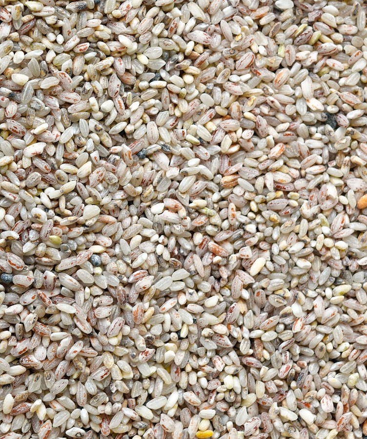 Background of colored stock image. Image of food, colored - 156359557