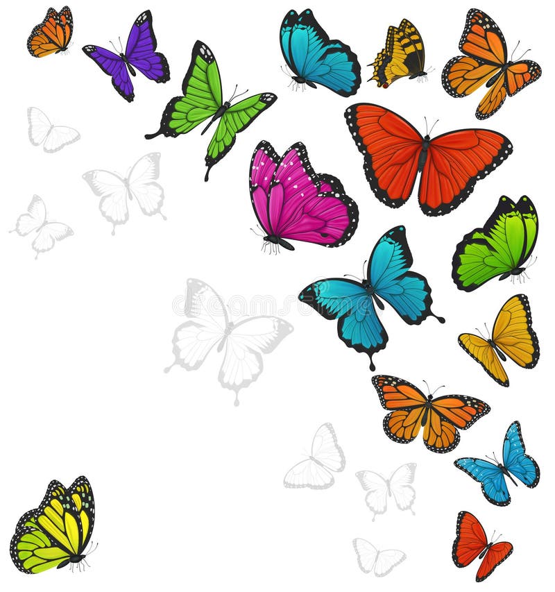 Set of Colorful Butterflies Vector Stock Vector - Illustration of ...