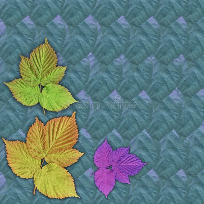 Background, Colorful Leaves Stock Image - Image of background ...