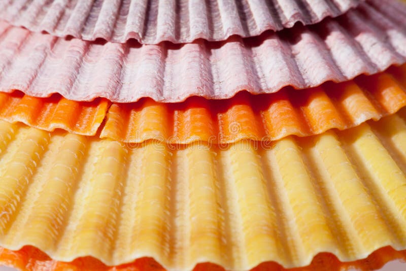 Background of Colorful Sea Shells Macro Stock Image - Image of beauty ...