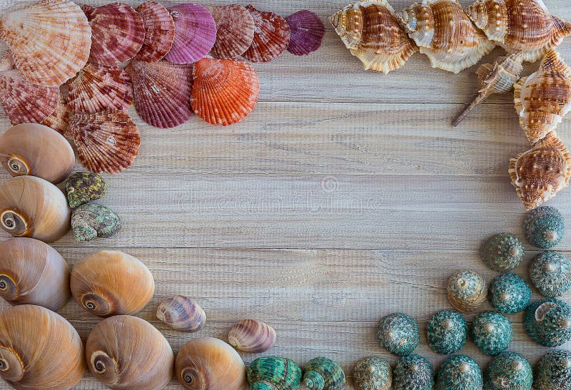 Background of Colorful Sea Shells Stock Photo - Image of shell, pearl ...