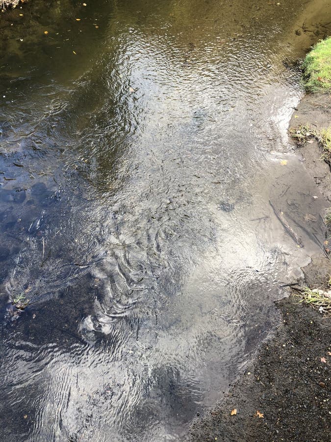 Puddle from water stock photo. Image of puddle, colors - 191729684