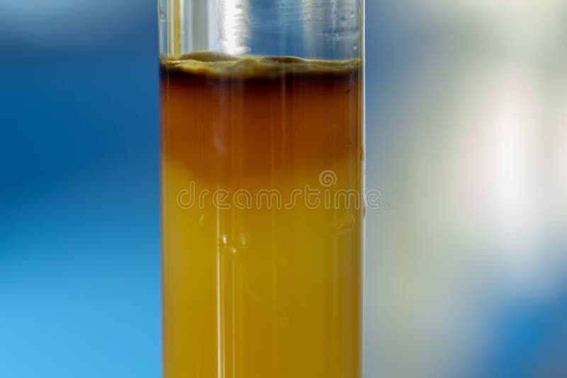Column Chromatography Chemistry in Lab. Stock Image - Image of ...