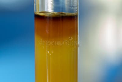 Column Chromatography Chemistry in Lab. Stock Image - Image of ...