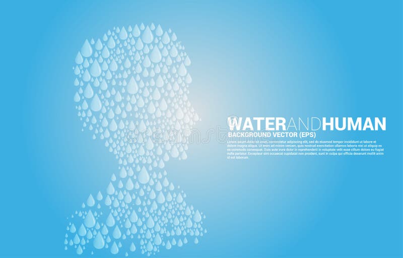 Vector Water Drop Shaped Human Body Profile. Stock Illustration ...