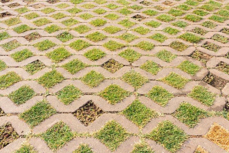 Background of Concrete Block Walkway with Green Grass Stock Photo ...